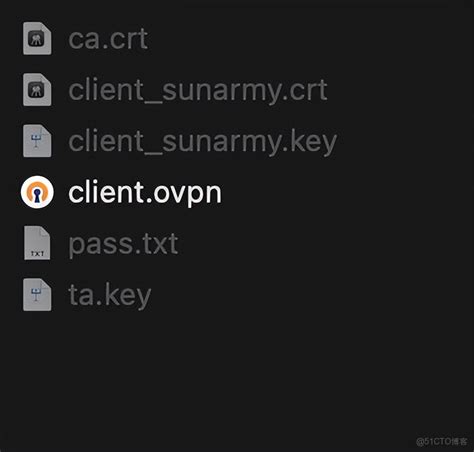 告别繁琐设置，用openvpn一键实现内网穿透与远程办公 G Lab郭主任的技术博客 51cto博客