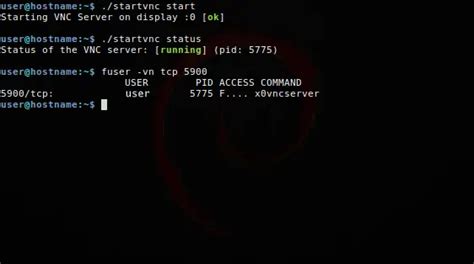 How To Start A Vnc Server For The Actual Display Scraping With TigerVNC