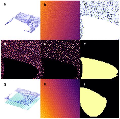 Salve Sub Angstrom Low Voltage Electron Microscopy Project Iii Of Ulm University Fei Company