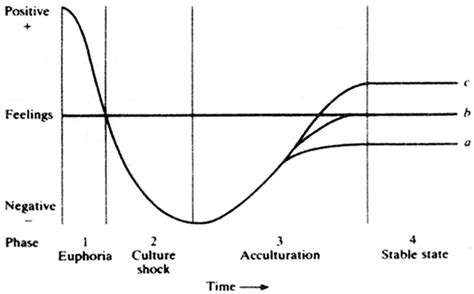 The Acculturation Curve P385 Hofstede Et Al 2010 Note A Continue