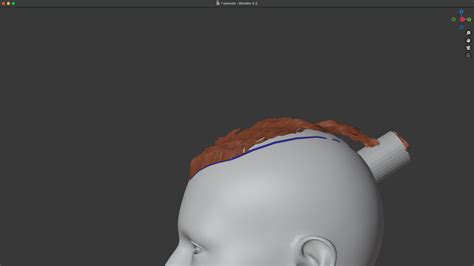 Hair Settings Render Particles And Physics Simulations Blender