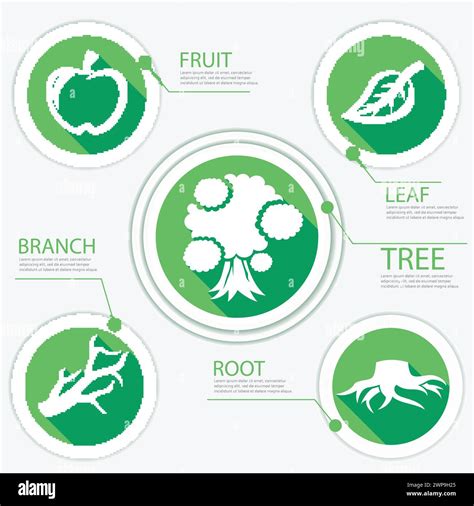Tree Chart Go Green Flat Design Vector Illustration Stock Vector Image Art Alamy