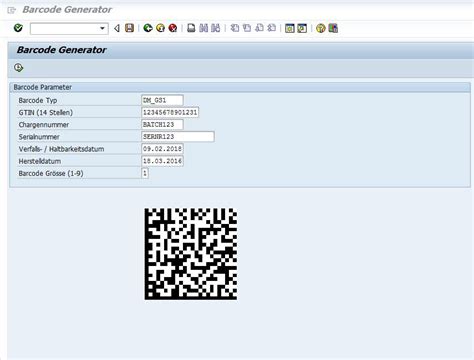 Gs Barcode Generator Als Sap Add On Europe It Consulting Gmbh