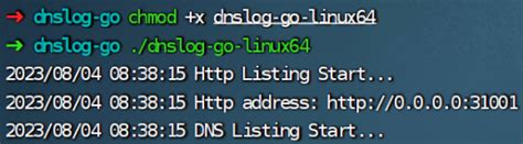 github ha1yu dnslog modify