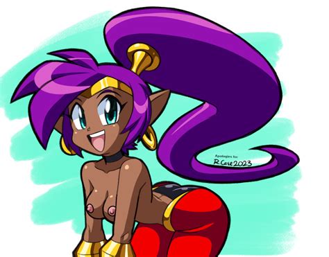 Rcasedrawsstuff Shantae Shantae Half Genie Hero Shantae Series
