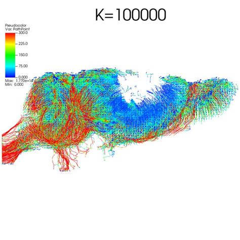 Péclet Number Endowed Pathlines Shown In Ventral View Plane Parameter Download Scientific