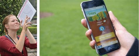 Tree Height Comparisons A Hand Held Clinometer Vs The Nasa Globe Observer Trees Tool Icesat 2