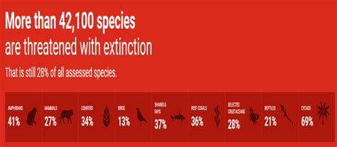 Showing The Current Scenario Of Species Moving To Extinction 11