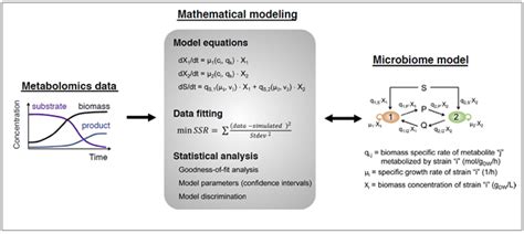 Github Au Wang He Groupdynamicgem Coculture A Semi Structured
