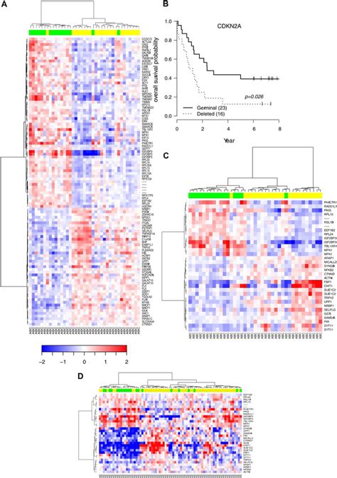 Hierarchic Clustering According To Cdkn2a Genomic Status In Dlbcl With