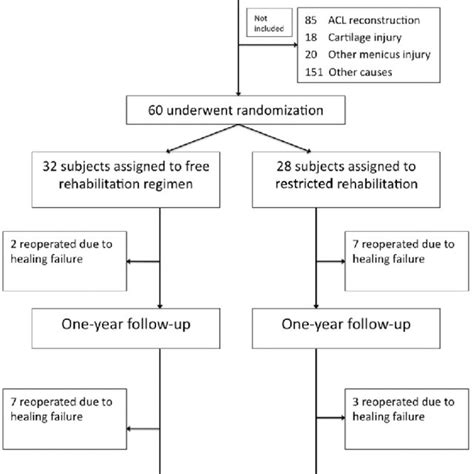 Randomization And Follow Up Characteristics Download Scientific Diagram
