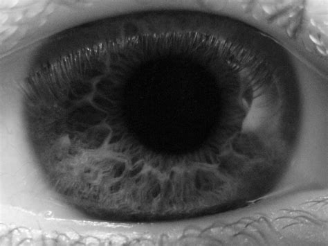 Macro Mode By Rangerris On Deviantart