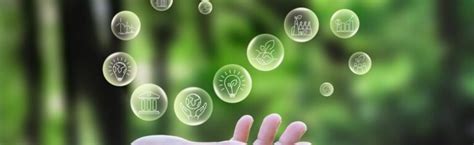 Csrd Timeline 2025 2029 Key Deadlines And How To Prepare