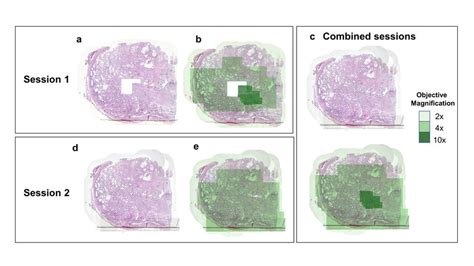 Combined Multi Resolution Slide Image From Multiple Viewing Sessions Download Scientific
