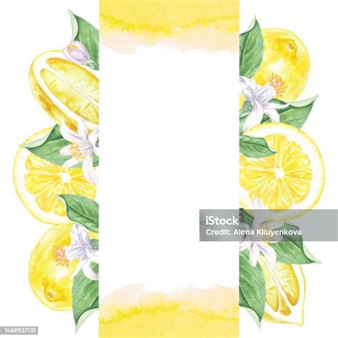 레몬의 수채화 프레임 휴일 결혼식 및 음식 디자인에 사용하기 위해 식물 스타일로 손으로 그린 슬라이스 감귤류 열대 과일의 배경은 패키지 카드 및 기타 디자인을 장식합니다 꽃