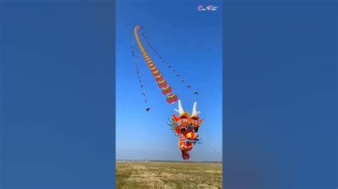 The Grandest And Amazing Dragon Kite 🥰 Shorts Dragon Youtube