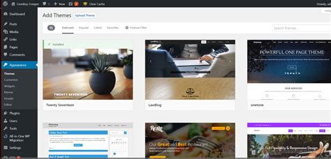 How To Set Up WordPress Themes And Plugins Daemontown