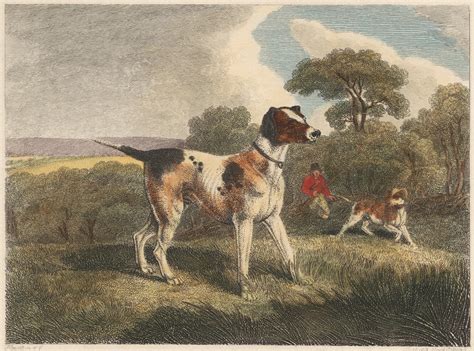 The Pointer Artvee