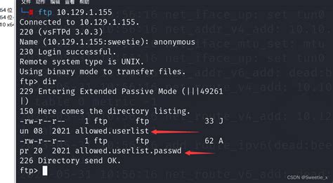 Hack The Box Crocodile关卡after Connecting To The Ftp Server Using The