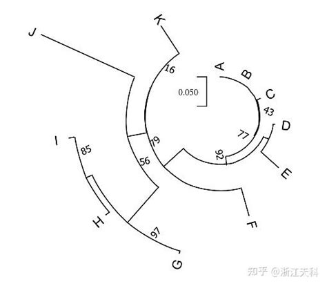 手把手教你看懂基因的聚类分析溯源 进化树分析 知乎