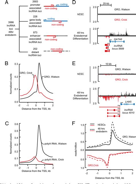 Figure 1 From Divergent Transcription Of Long Noncoding Rnamrna Gene