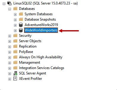 Move SQL Database Files In SQL Server On Linux
