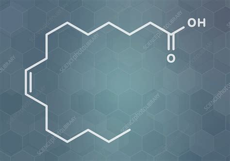 Palmitoleic Acid Omega 7 Fatty Acid Molecule Stock Image C0457859