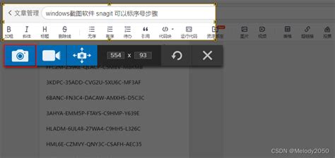 windows截图软件 snagit 可以标序号步骤 哪个截图软件可以加步骤序号 csdn博客