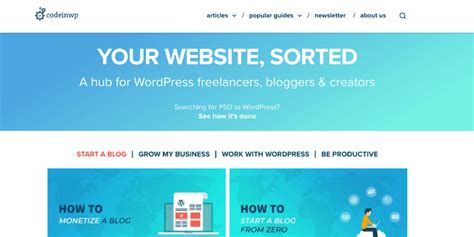 CodeinWP Needed An Optimized WordPress Hosting Solution