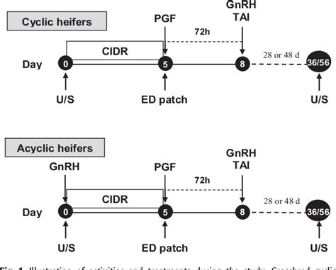 Table 1 From Evaluation Of A Modified Gnrh Based Timed Ai Protocol Associated With Estrus