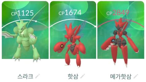 포켓몬스터 스라크 핫삼 메가핫삼 진화 포켓몬고