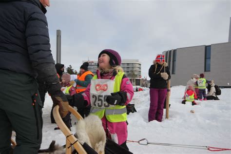 Glade Studenter Som Studerer
