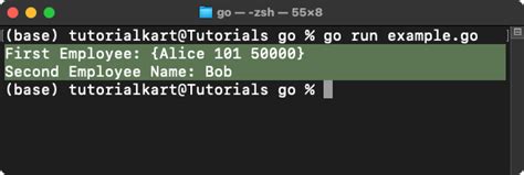 Array Of Structs Golang Examples With Crud Operations