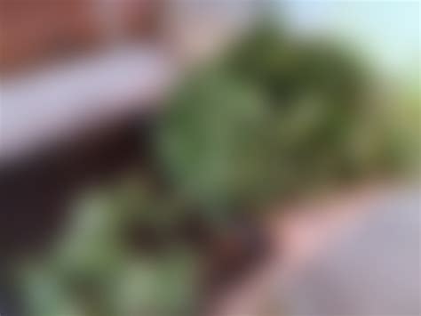 Хочу поделиться своим увлечением Я выросла в деревне и сейчас бываю там очень часто у мамулечки