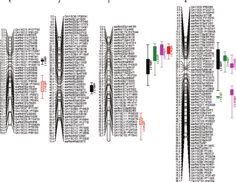 Quantitative Trait Loci Qtl For Days To Flowering Dtf Days To