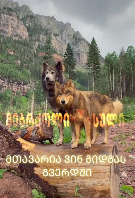 არ აქვს მნიშვნელობა ვინ არის შენს წინააღმდეგ მთავარია ის თუ ვინ გიდგას გვერდში By მებრძოლი სული