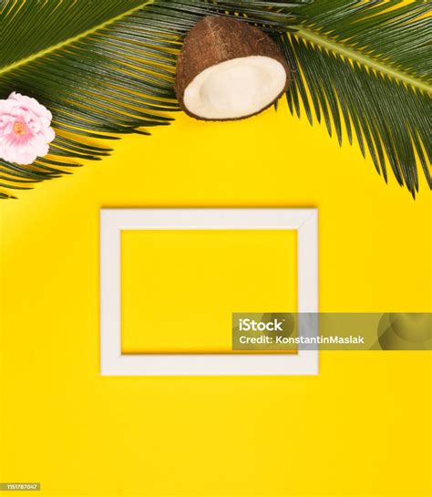 사진 프레임 녹색 잎 코코넛과 노란 배경에 꽃과 세련 된 여름 구성 복사 공간이 있는 삽화 모형 정사각형 이미지 개념에 대한 스톡 사진 및 기타 이미지 Istock