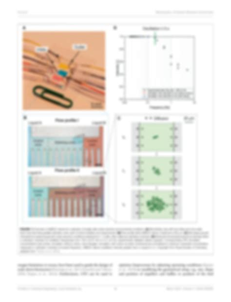Solution Microfluidic Reproduction Of Dynamic Bioreactor En Studypool Solution Microfluidic Reproduction Of Dynamic Bioreactor En Studypool