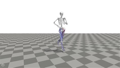Hilal Ahmad On Linkedin Getting 3d Kinematic And Kinetic Using