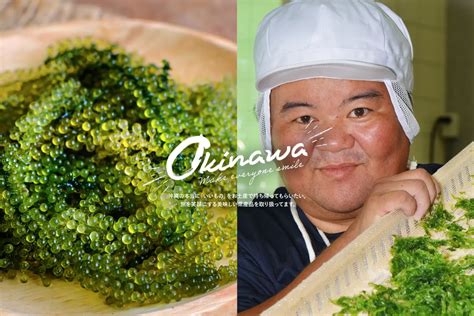 Lahaina 埼玉県さいたま市のウェブクリエイター あうんデザインワークス