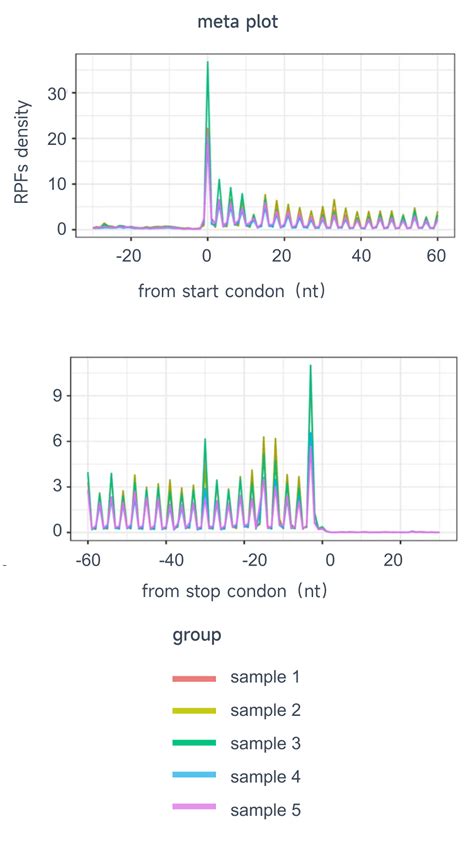 翻译组 技术中心 新使生物公司官网 让核糖体印迹分析变得更简单
