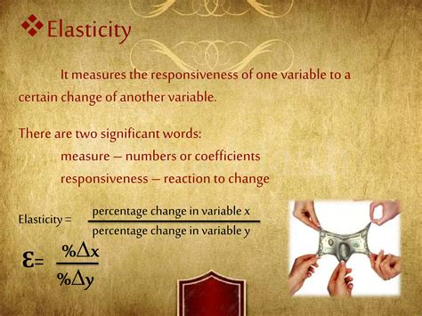 Concept Of Elasticity Pptx
