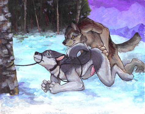 Rule 34 Anthro Blue Eyes Bondage Bound Canine Collar Forest From