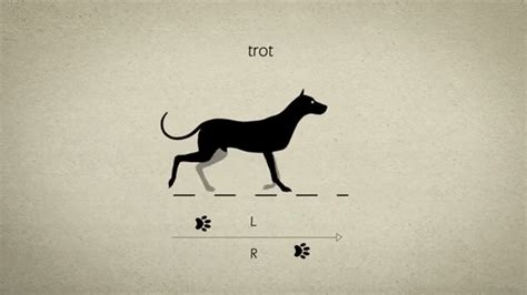 Printzzsuzsi Porn Photo Pics Printzzsuzsi Porn Photo Pics