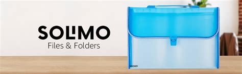 Amazon Brand Solimo Solimo Semi Transparent Expanding File Folder With 13 Pockets Handle And