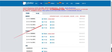 NET MVC 使用百度编辑器详细教程 配置编辑器 YOU的专栏 TNBLOG