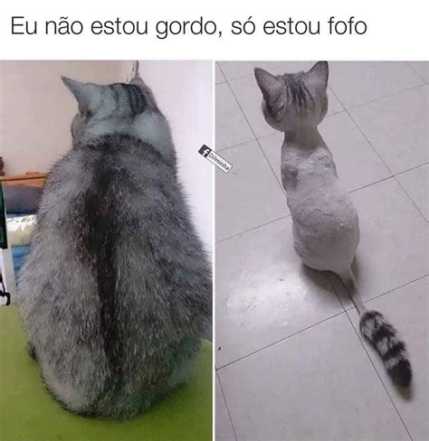 Quando Eu Estou Tomando Banho E O Aleatório Coloca Uma Música Que Eu