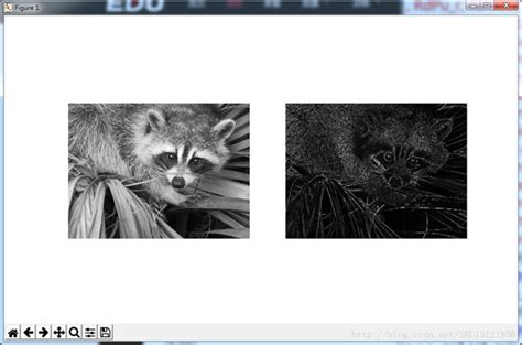 python conv d scipy卷积运算 程序员修练之路 博客园