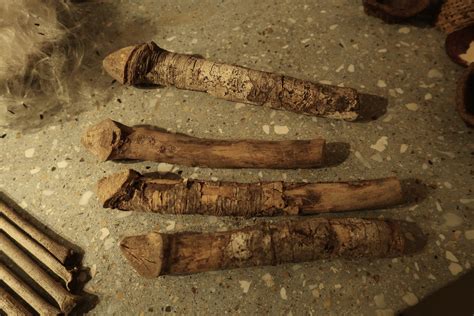 Architectures Végétales Mur Vegetal Patrick Blanc