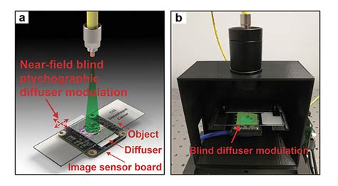 Diffuser Modulation Enables Quantitative Lensless Microscopy Features